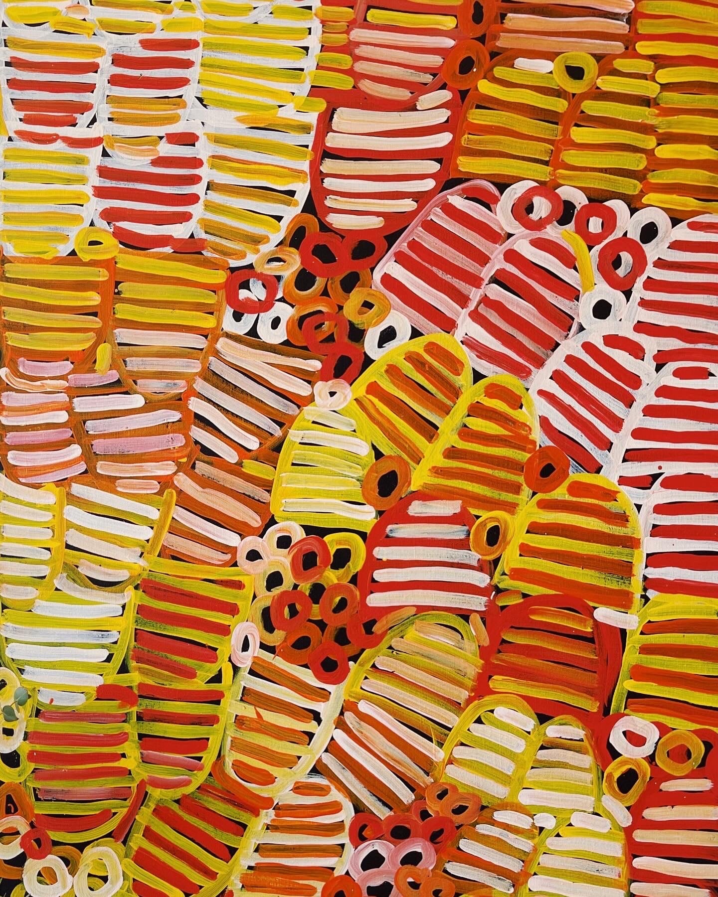 MINNIE PWERLE – Coe Gallery