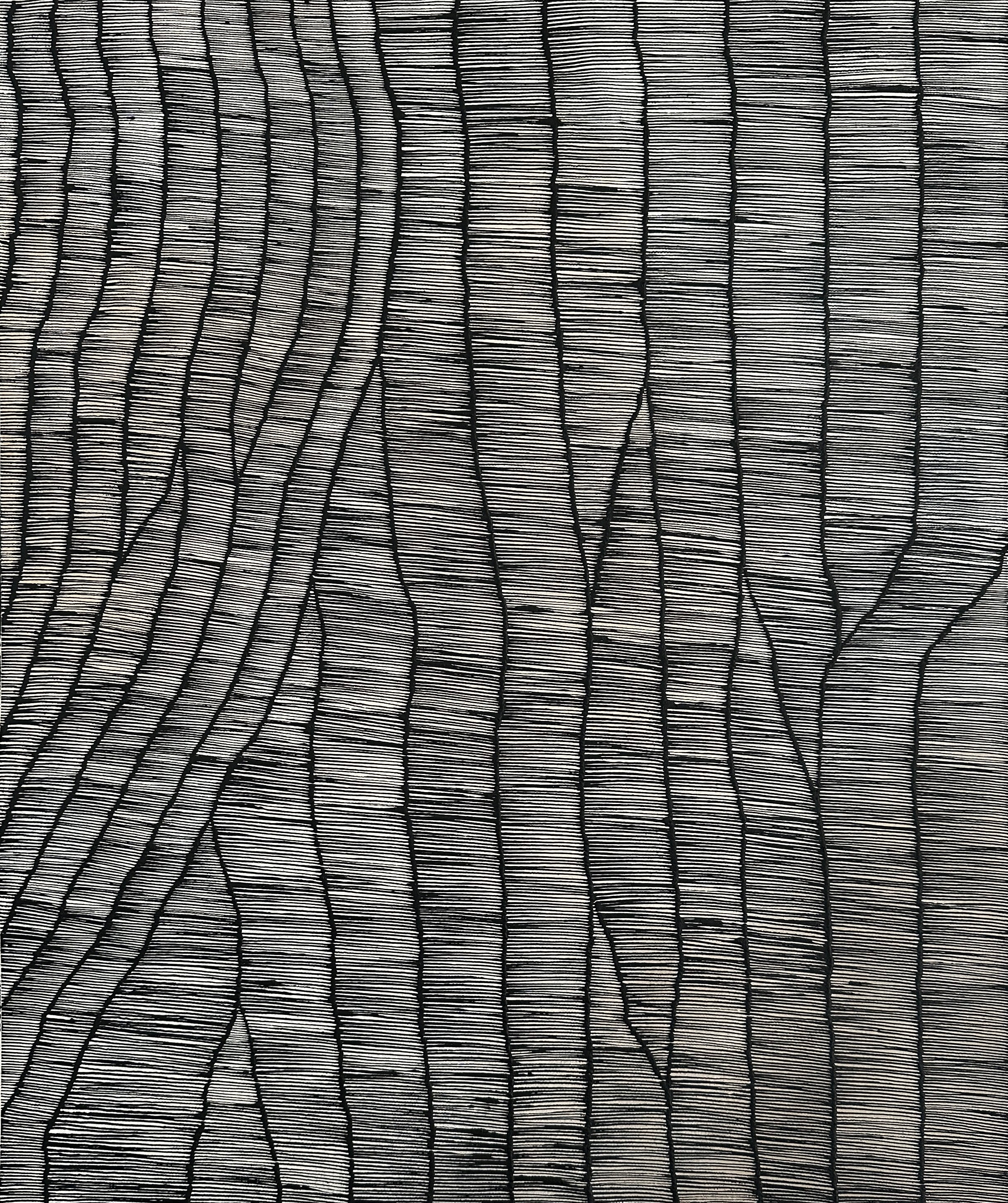 HANNAH LANGE Gum Forest – Coe Gallery