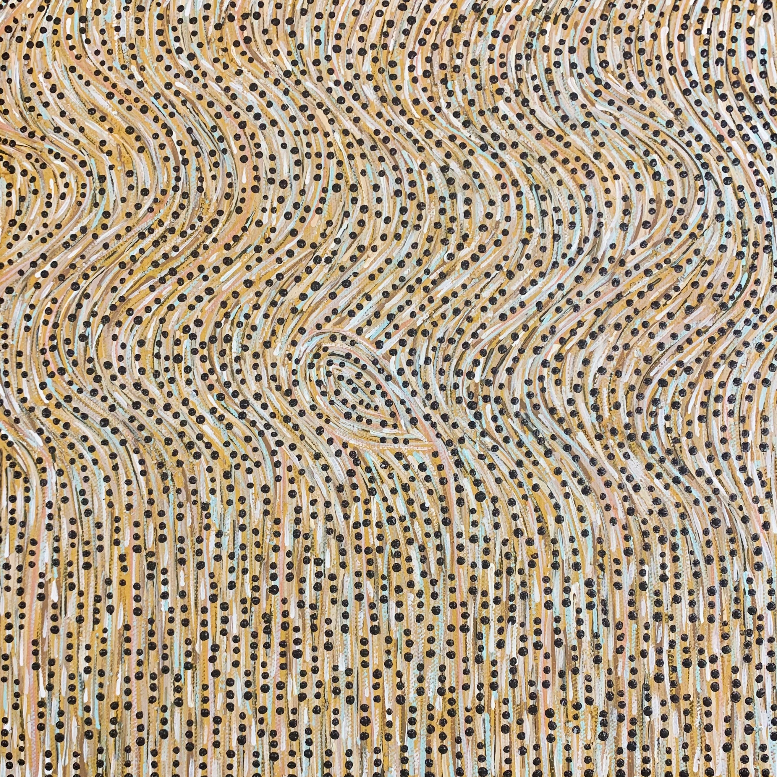 CARA SHIELDS Scar Country Patterns – Coe Gallery